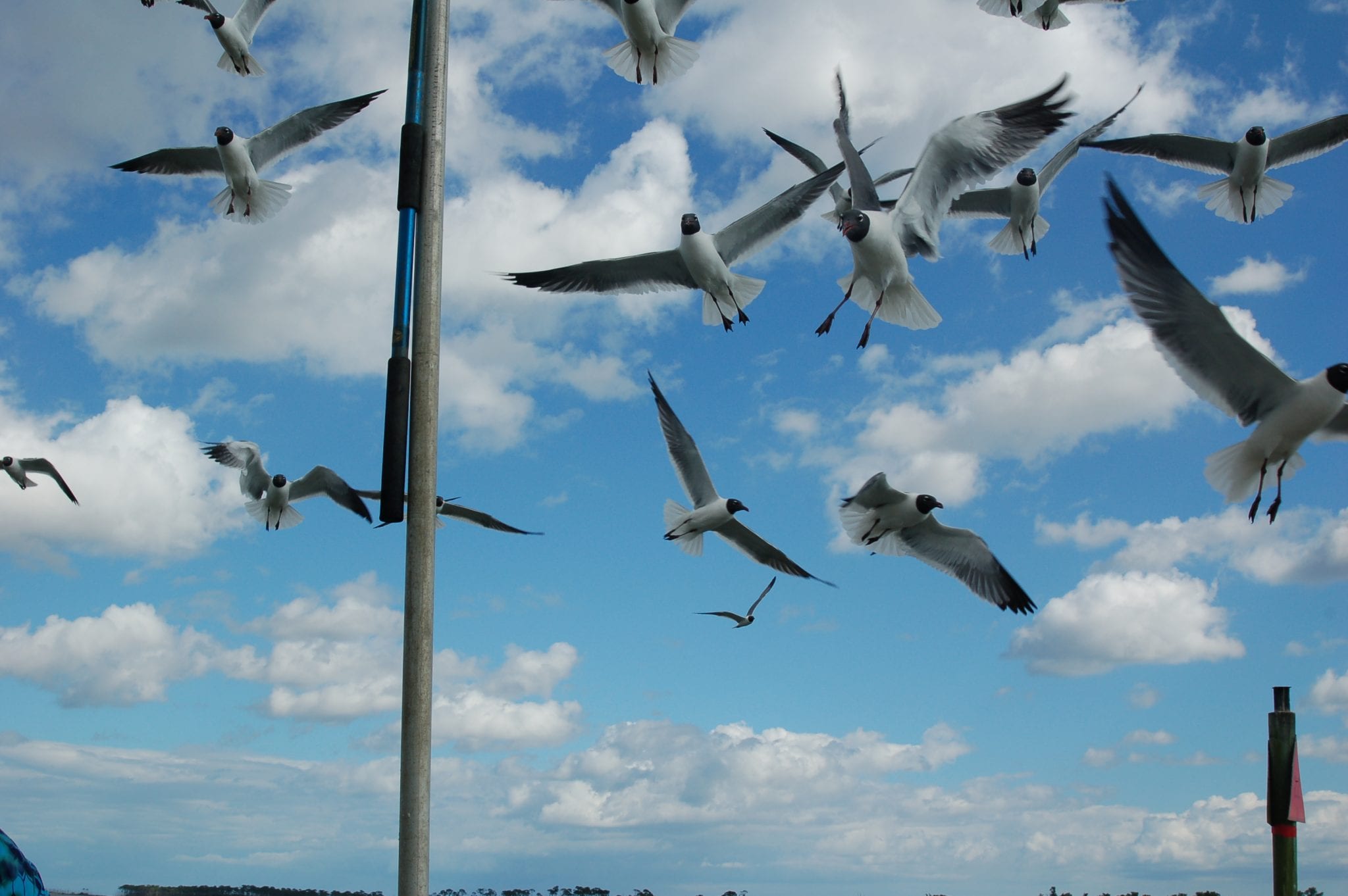 Biloxi for Families | Birmingham Parent